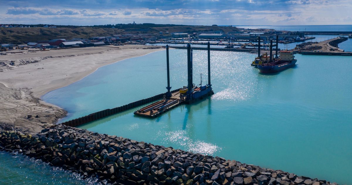 What Are Timber Piles? - Aarsleff